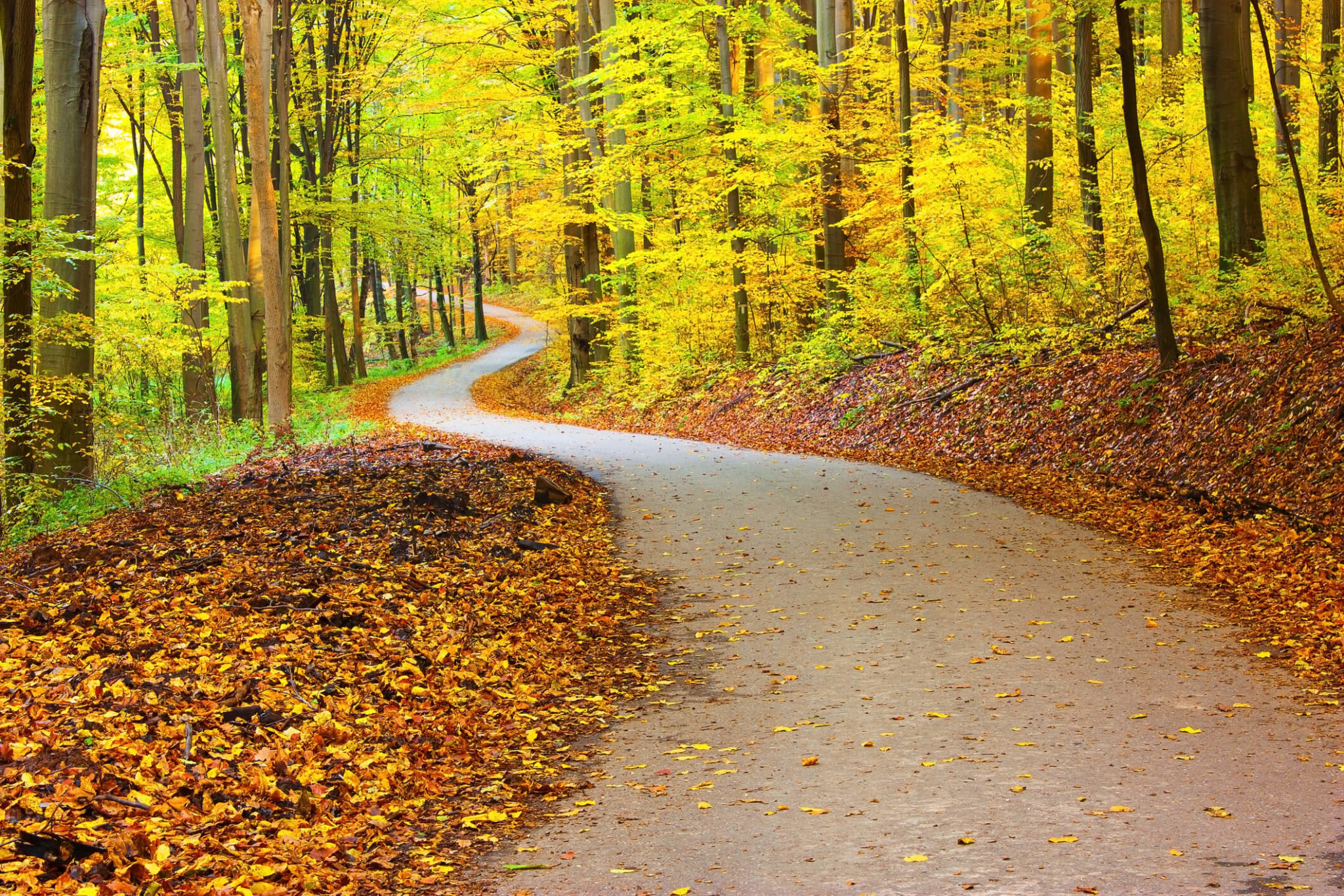 Navigating the CDP Climate Change Questionnaire - sustainserv.com